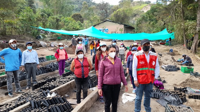 Gobierno Regional Proyecta Reforestar Casi 2 Mil Hectáreas De Tierras