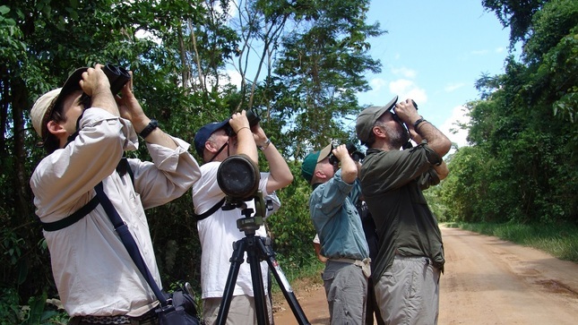 ¡ganamos Perú Es Líder Mundial En Observación De Aves Al Ganar El