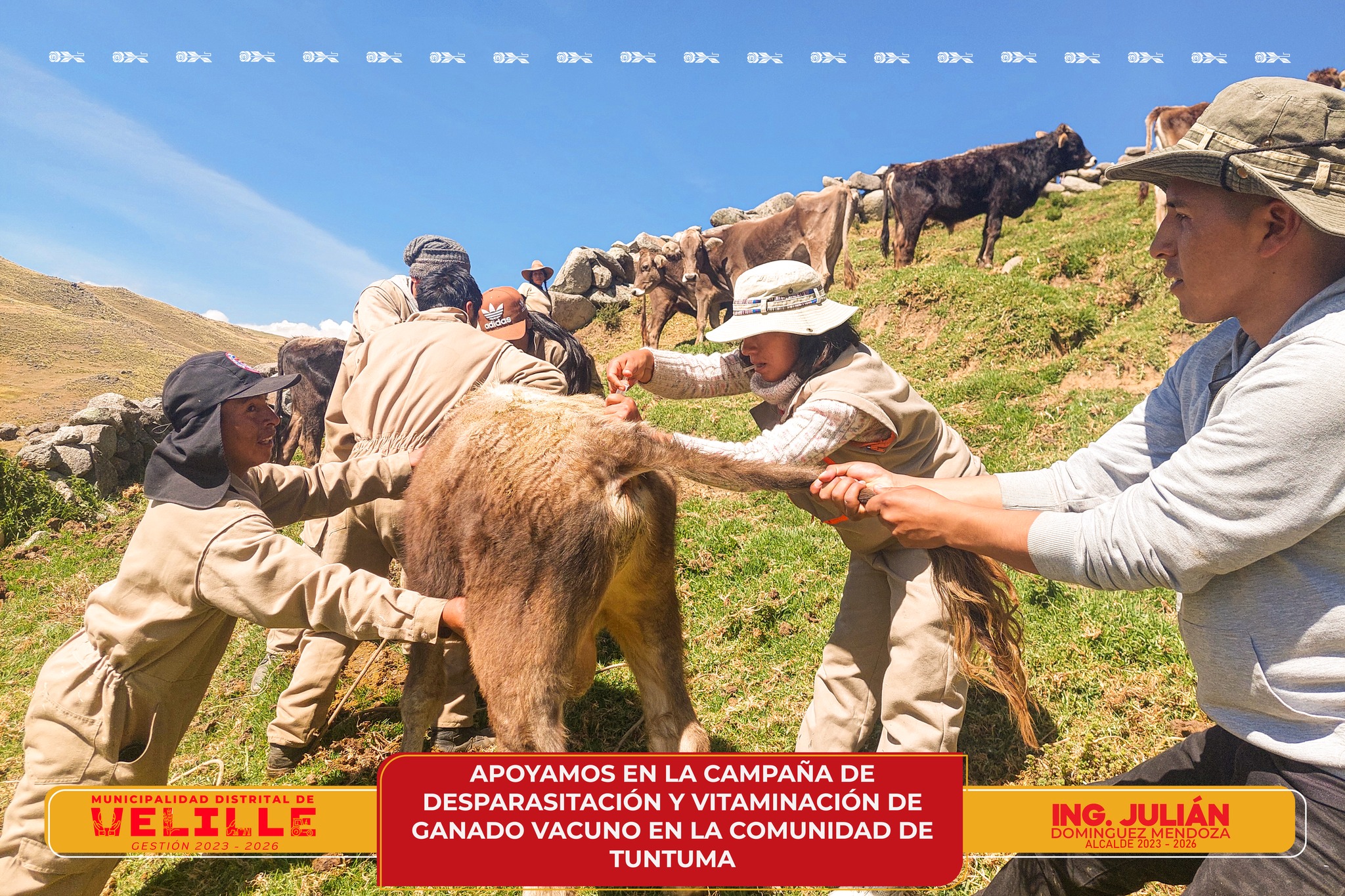 Municipalidad de Velille apoya en campaña de desparasitación y ... Municipalidad de Velille apoya en campaña de desparasitación y ...