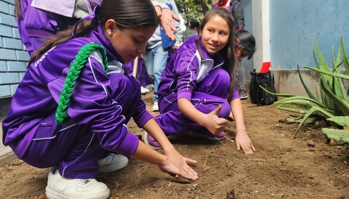 Lima Metropolitana Qali Warma Promueve Implementación De Huertos